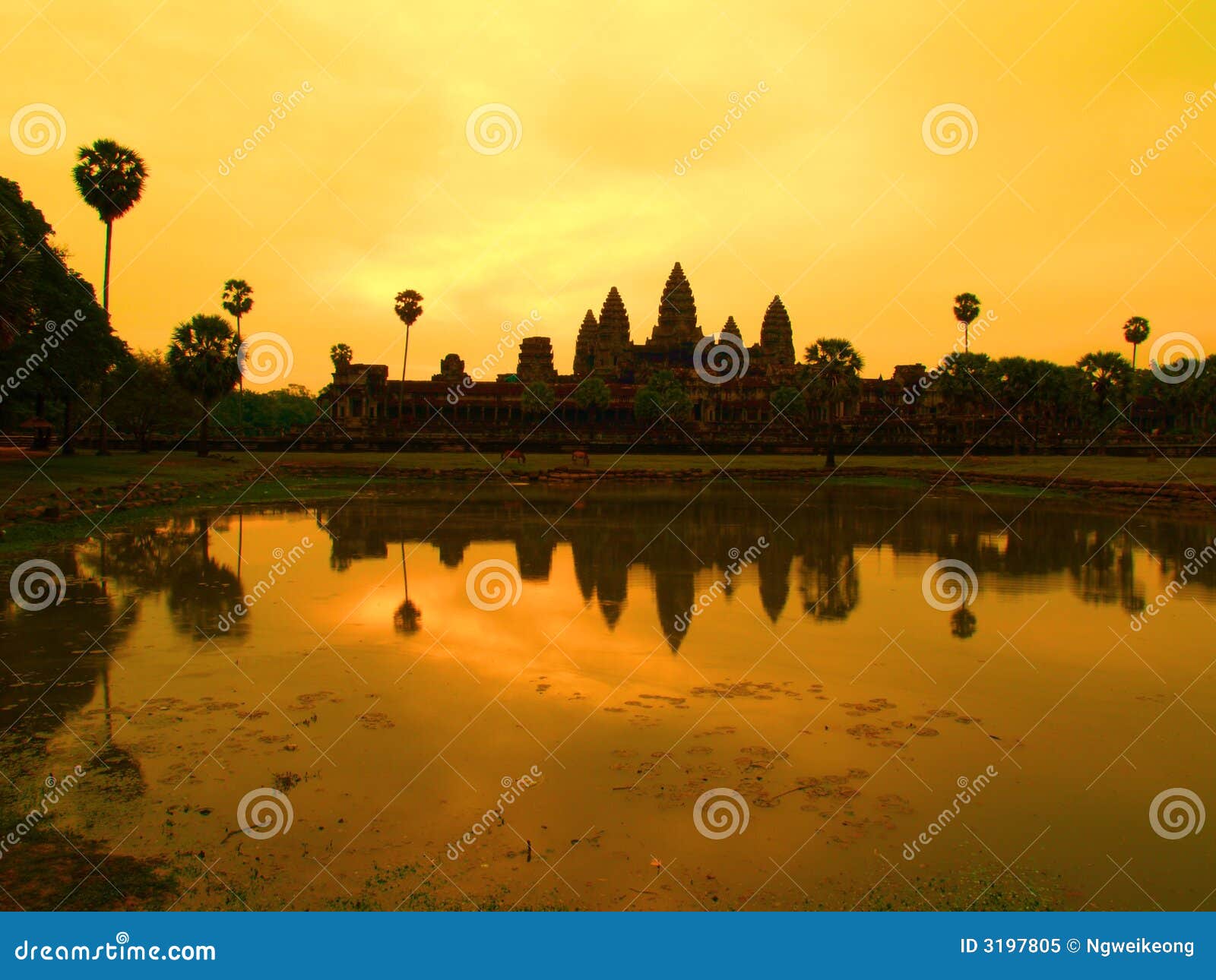 Angkor Wat Sunset stock image. Image of asia, jungle, buddhism - 3197805