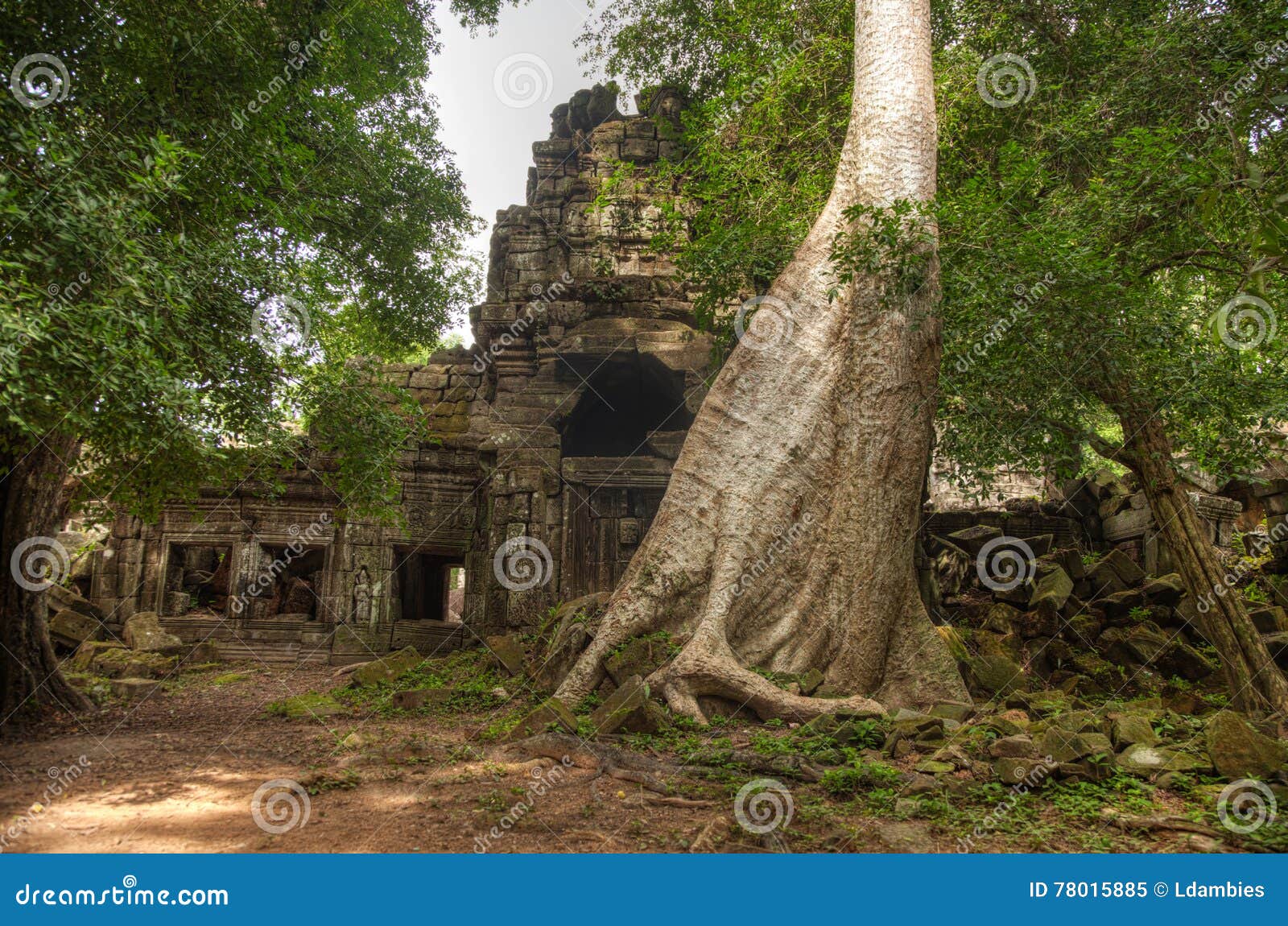 Angkorian Temple in the Jungle Stock Image - Image of jungle, roots ...