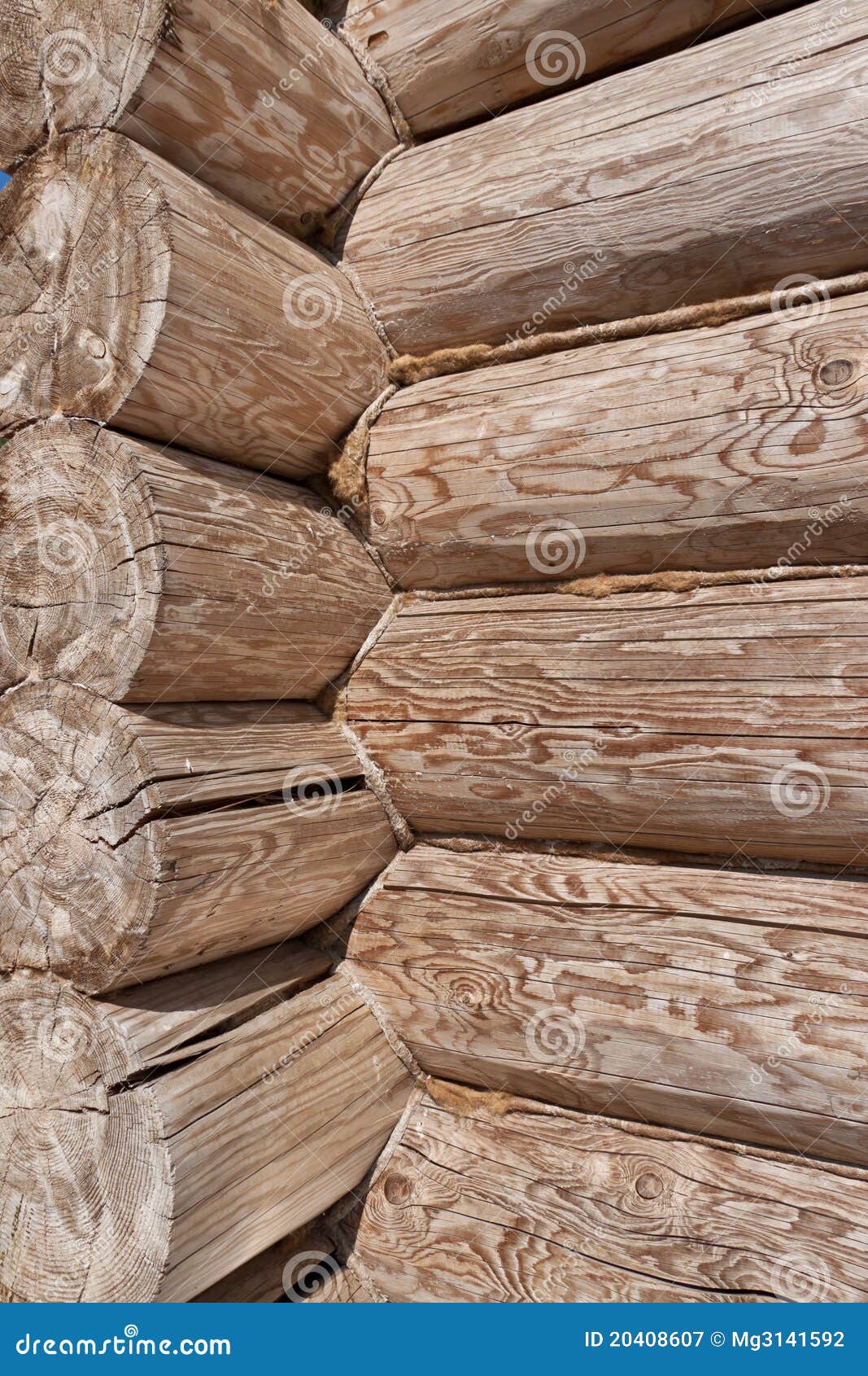 Angle Of Log, Vertically Picture. Image: 20408607