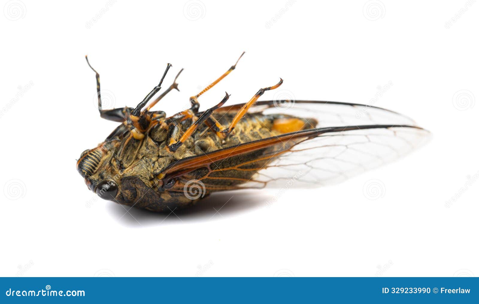 View Bottom Up On Beautiful Luxury Staircase With Wooden Railings ...