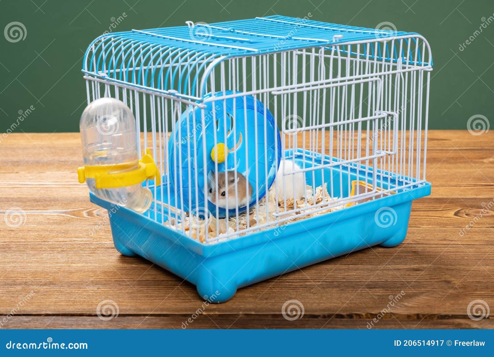 Angle Cage with Two Small Hamsters Stock Image - Image of curiosity ...