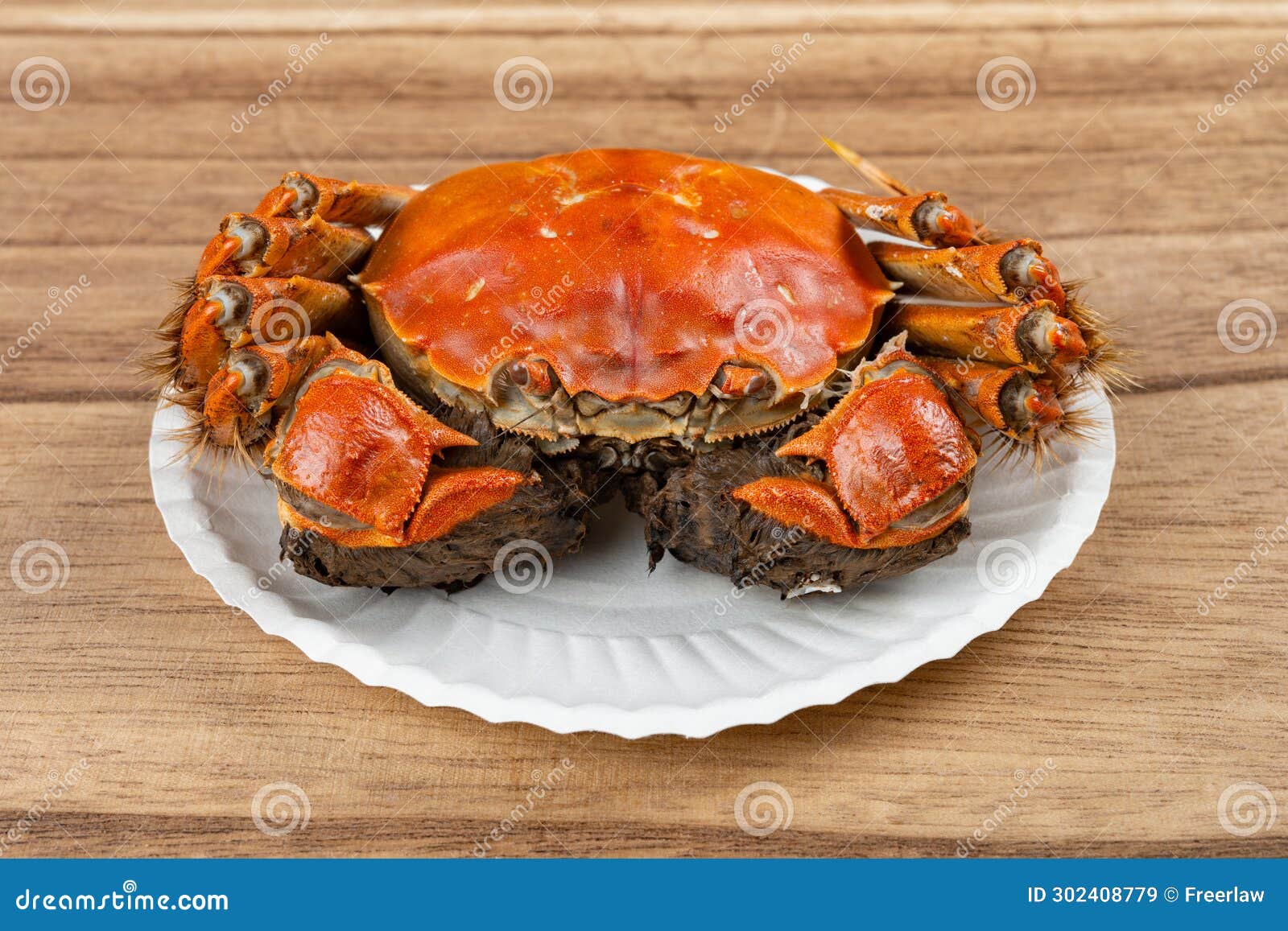 Angle View Fresh Cooked Crab Horizontal Composition Stock Image - Image ...