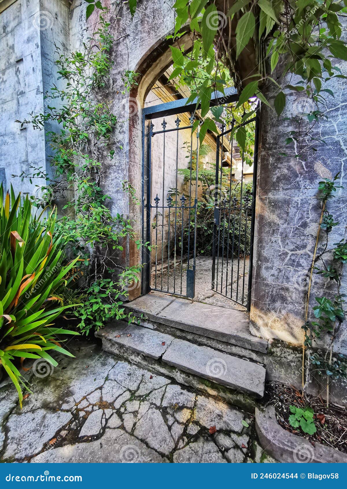 An Angle View on a Steel Gate at the Building Entrance Stock Photo ...