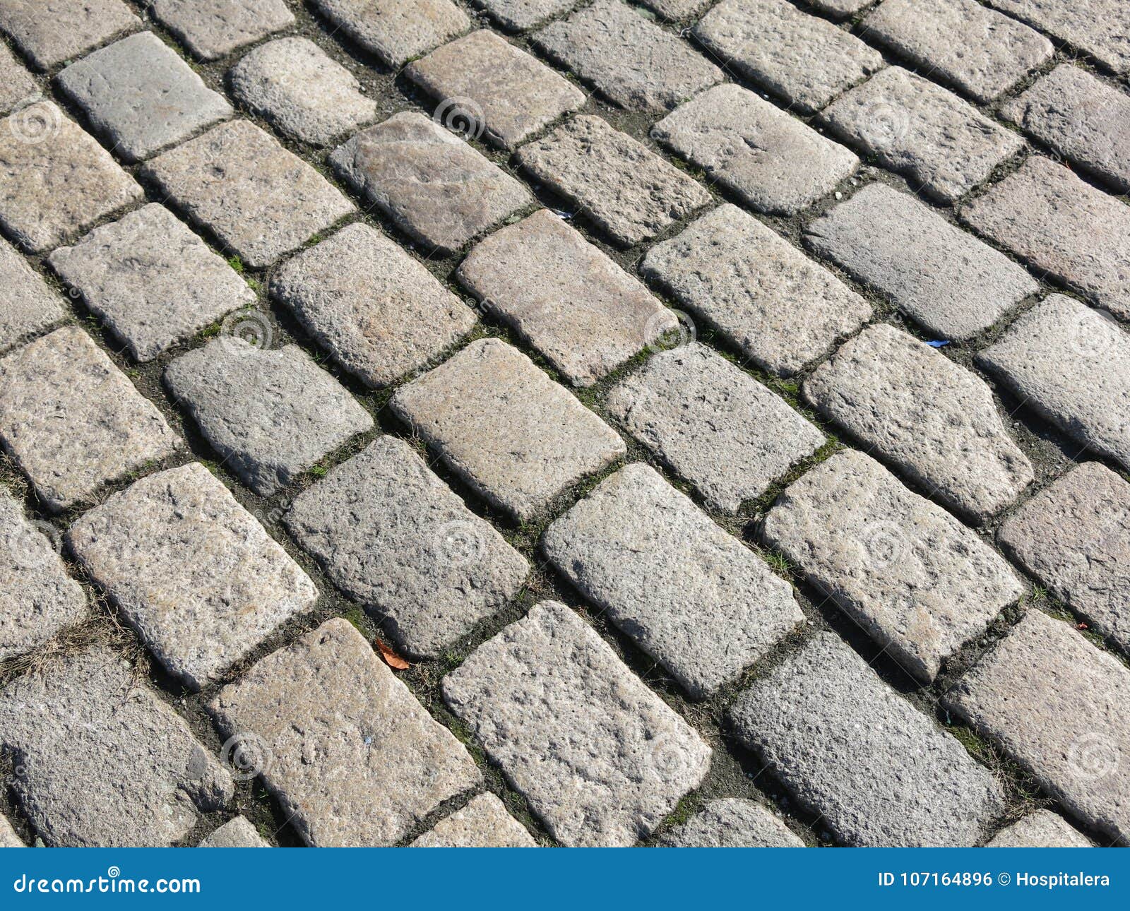 Stone pavement stock photo. Image of bricks, path, floor - 107164896