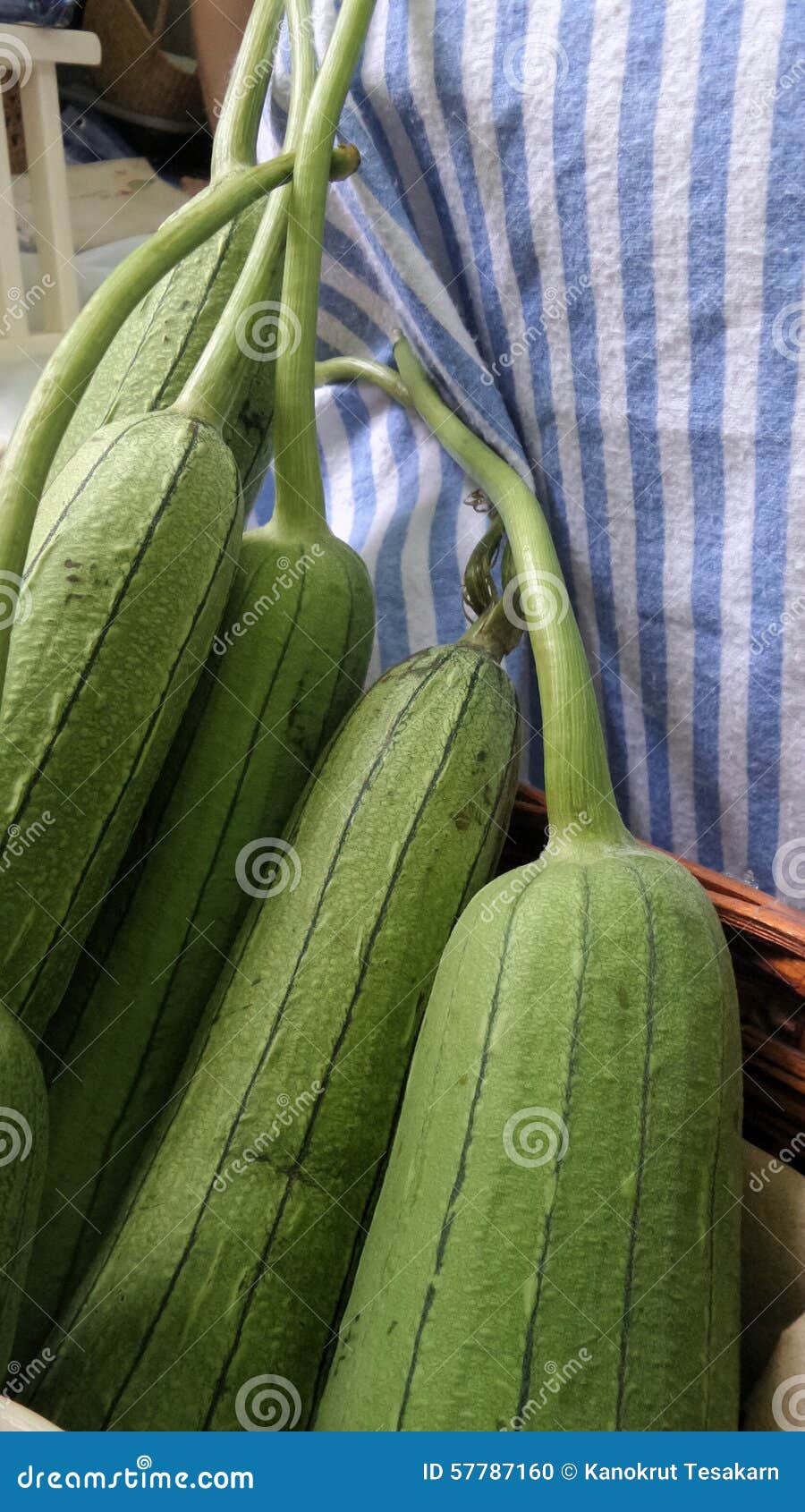 Angled Gourd Basket Vegetable from Backyard Garden Stock Photo - Image ...