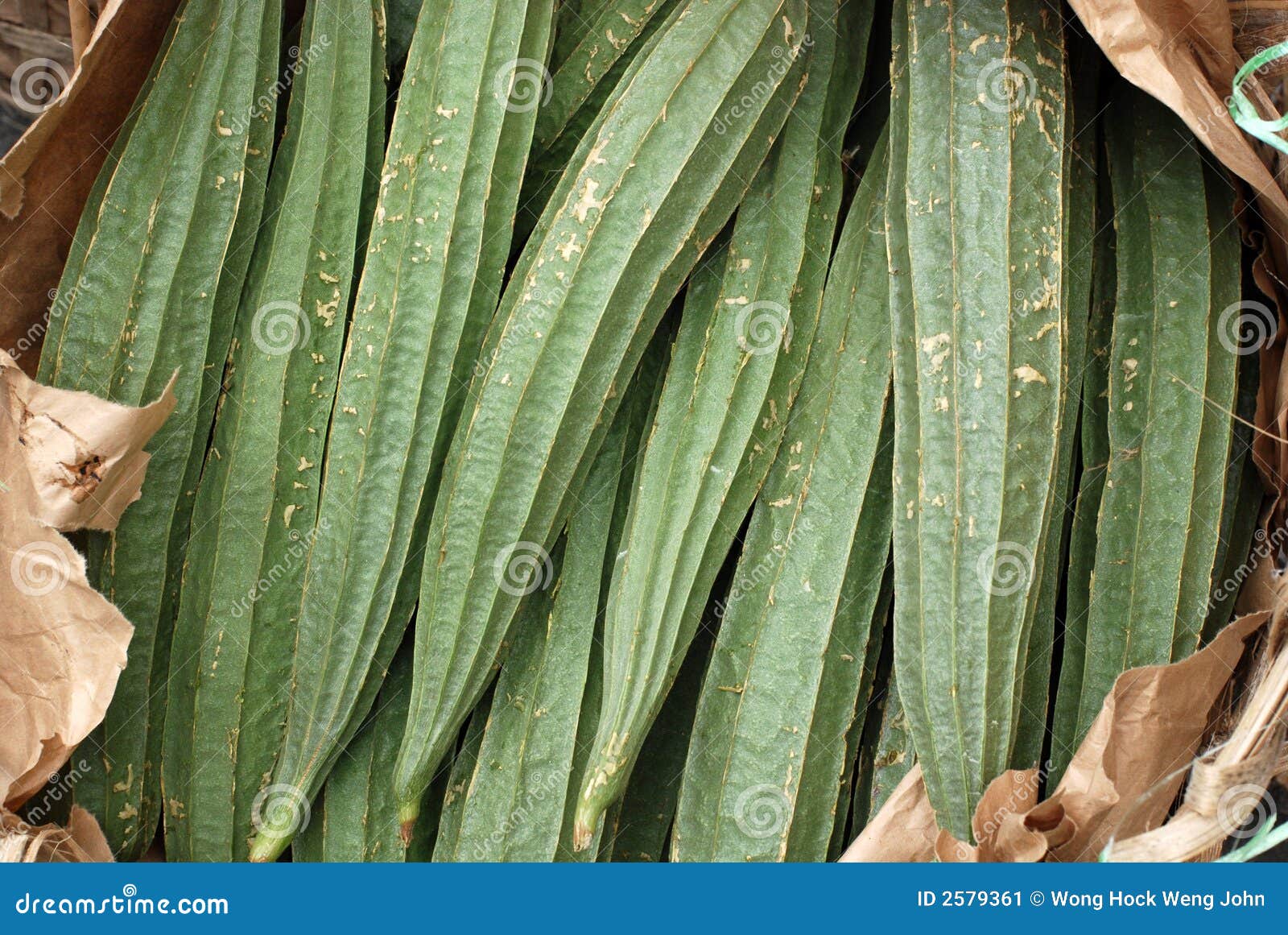 Angled loofah stock image. Image of gourd, farm, nature - 2579361
