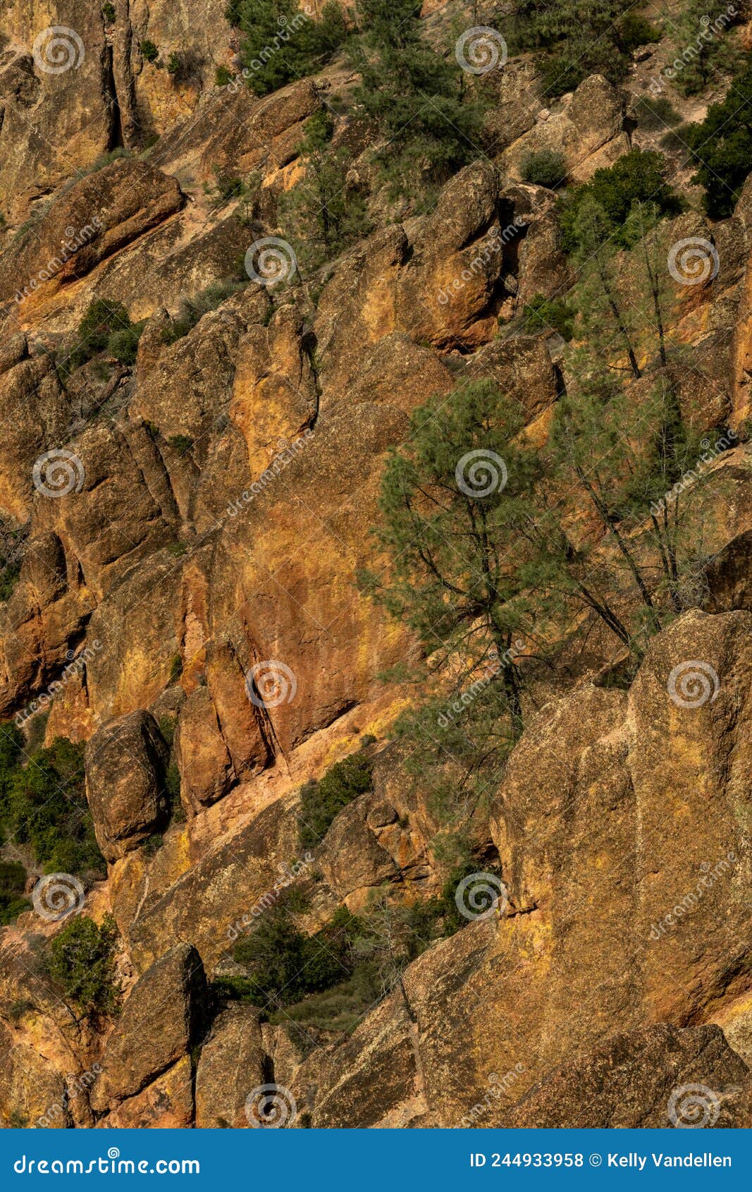 Angled Rocks with Trees Dotting the Cliff Stock Photo - Image of hill ...