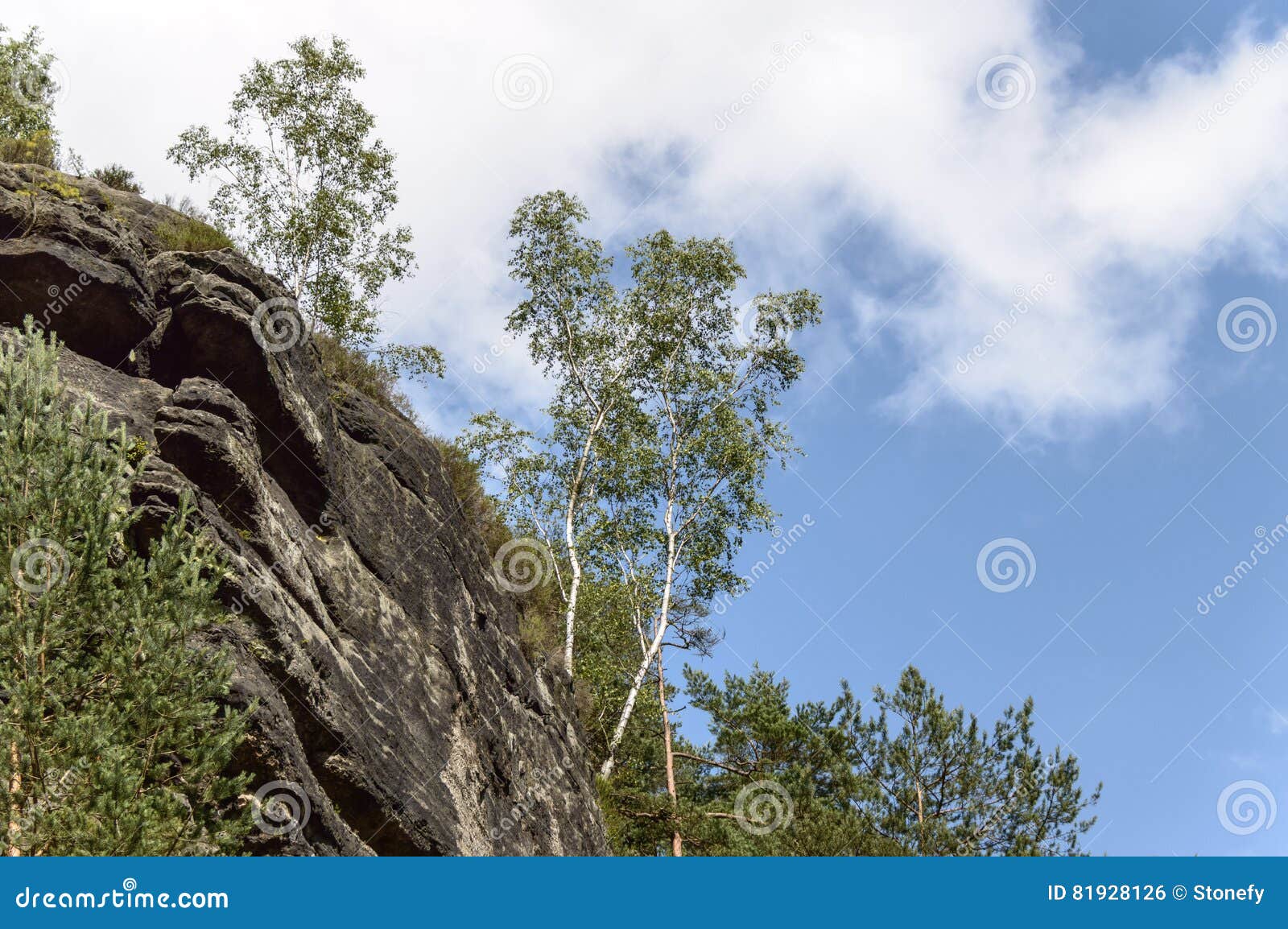 An Angled Shot of a Rock Formation Stock Photo - Image of trees, nature ...