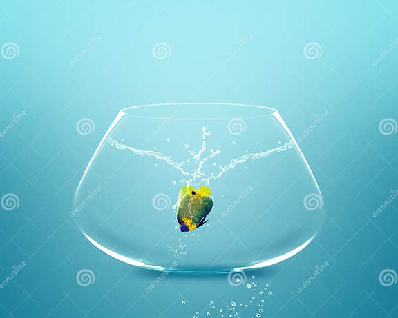 Anglefish Jumping To Big Bowl Stock Photo - Image of blue, fishbowl ...