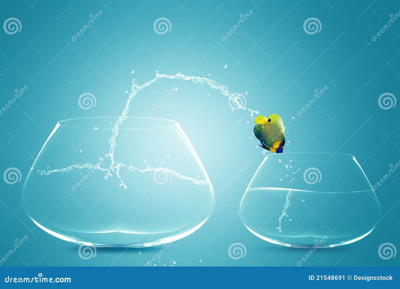 Angelfish Jumping Out Of Fishbowl Royalty-Free Stock Photography ...