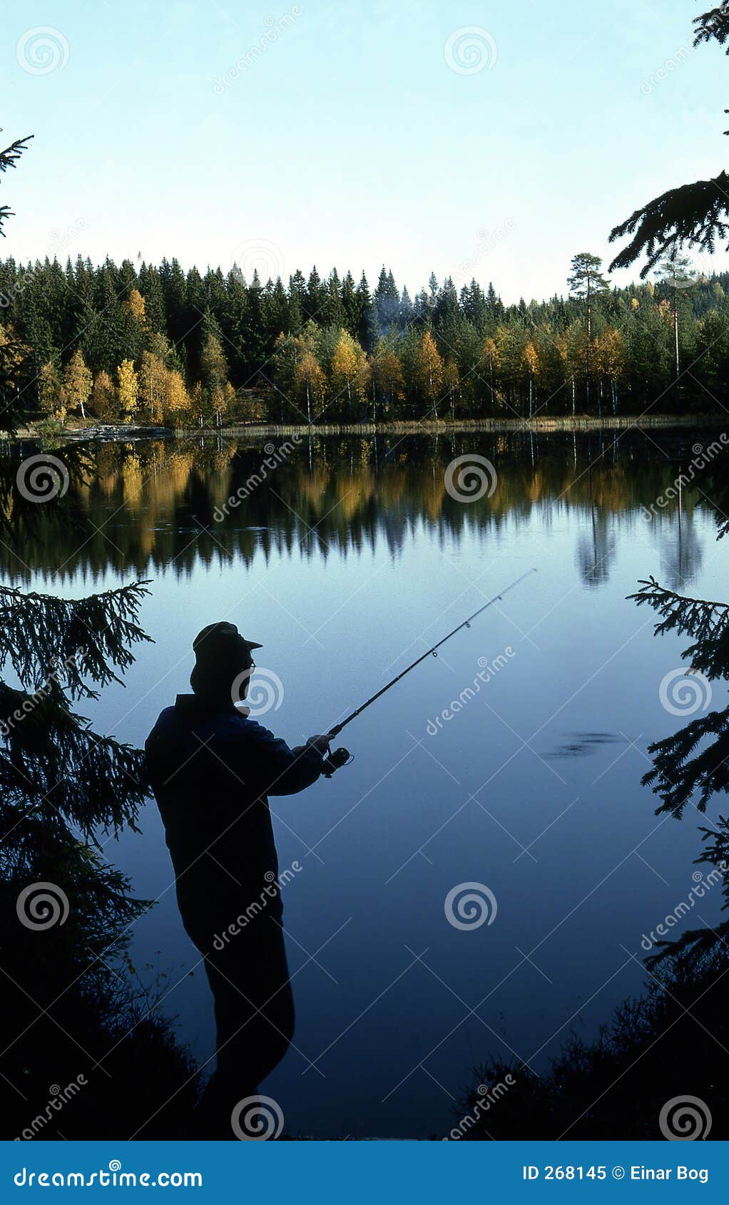 Angler stock image. Image of tree, norway, scandinavia - 268145