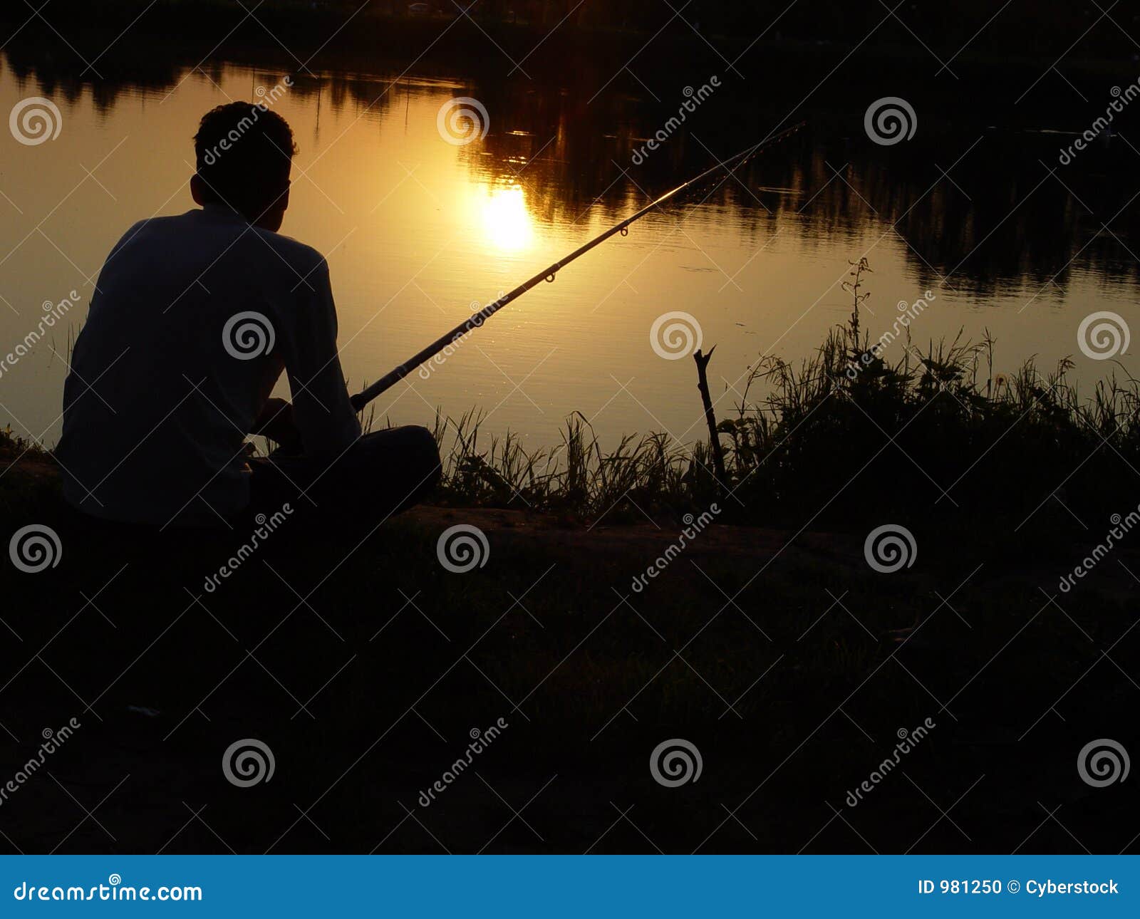 Angler stock photo. Image of fish, green, holiday, angling - 981250