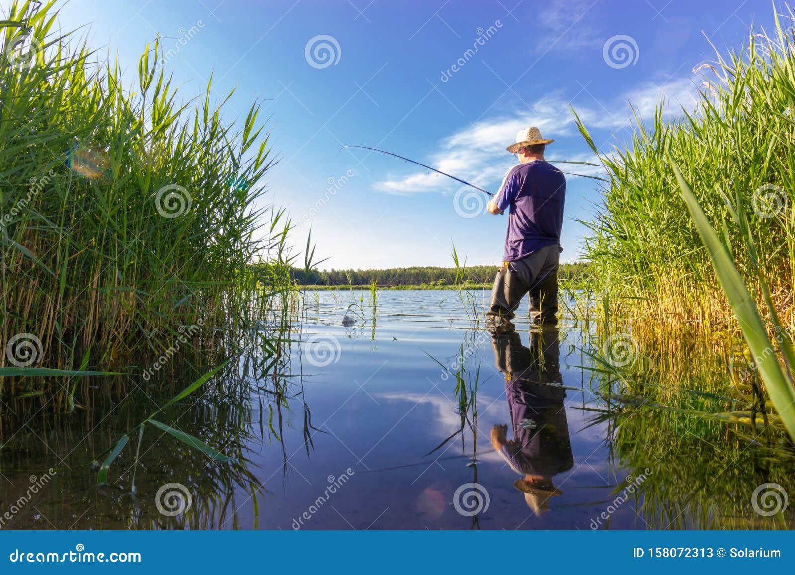 Angler stock image. Image of fisherman, lake, reel, sunny - 158072313