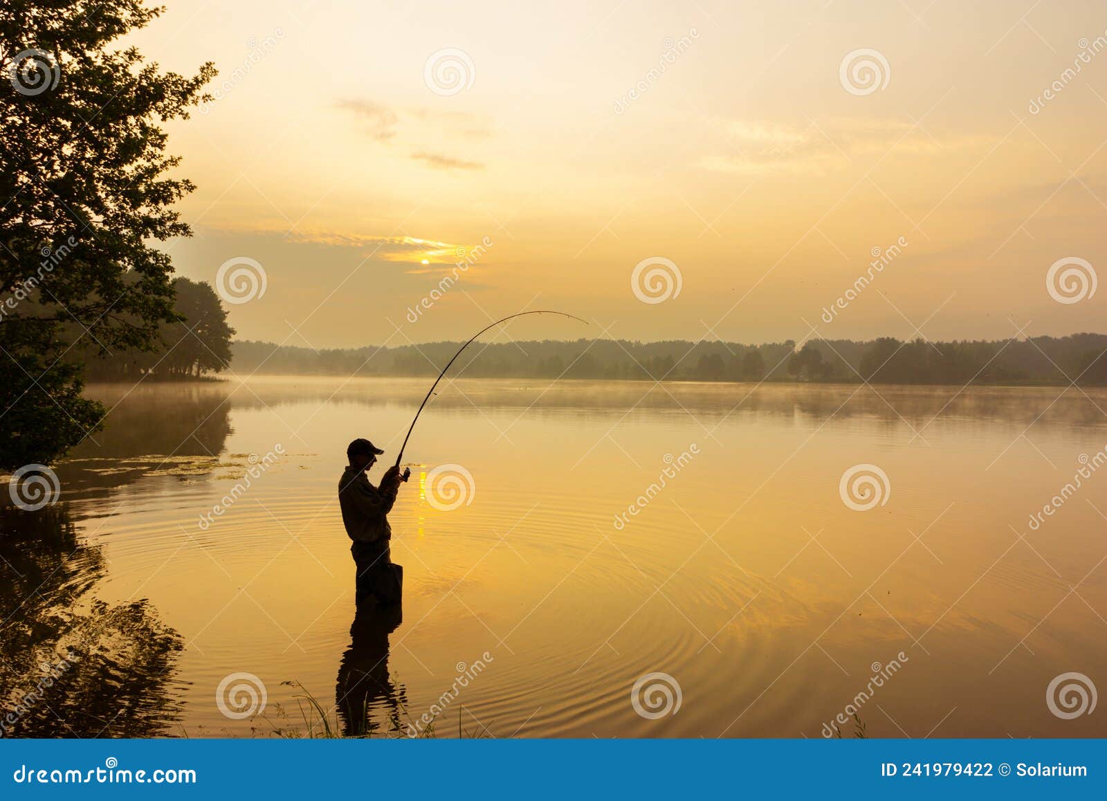 Angler stock photo. Image of reel, catching, sunny, light - 241979422