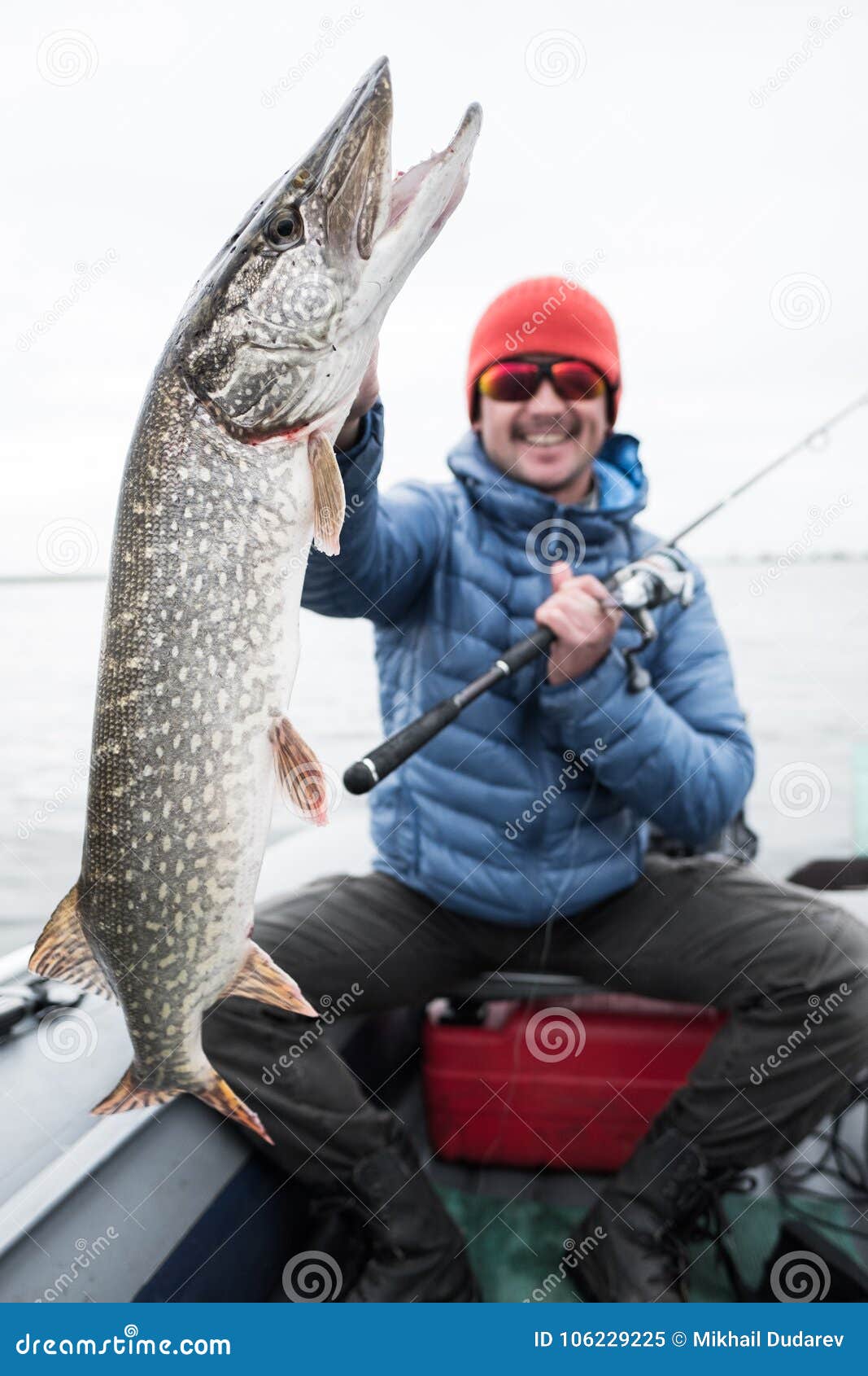 Angler holds pike fish stock image. Image of hand, fishing - 106229225