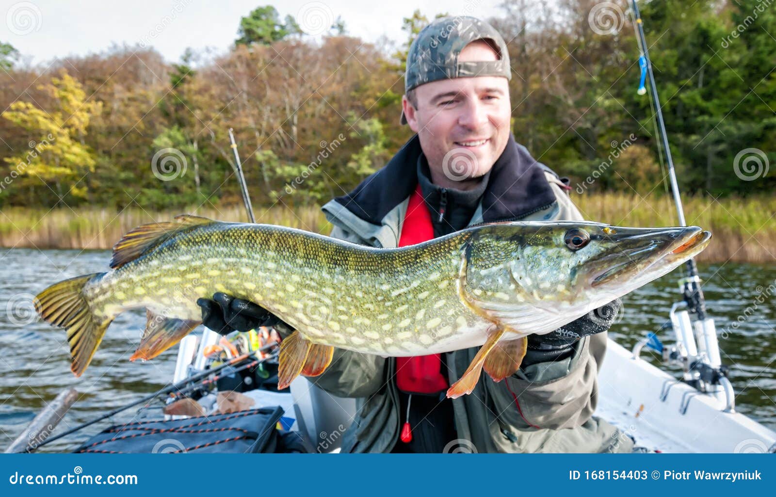 Angler with huge sea pike stock image. Image of fish - 168154403