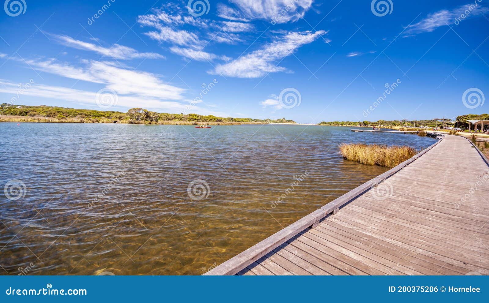 Anglesea River Flowing Towards Sea Stock Photo - Image of strolling ...