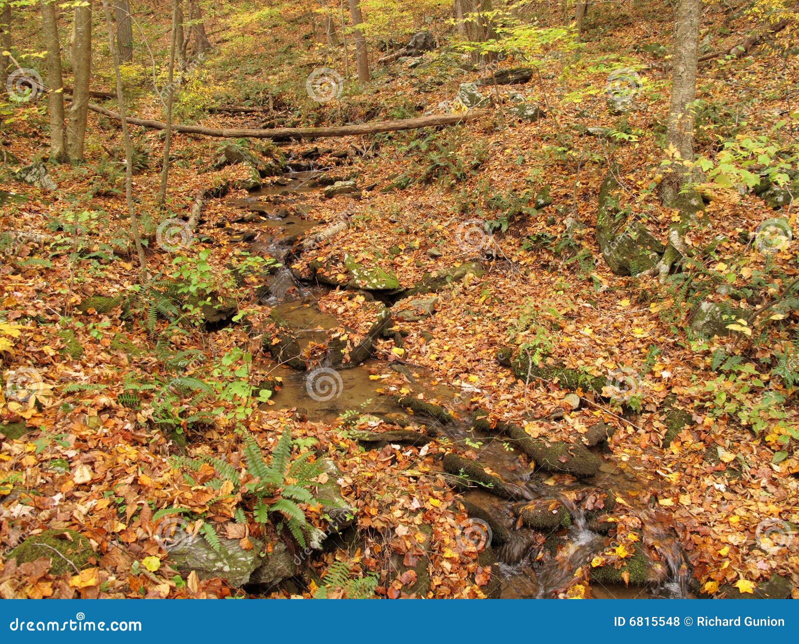 Angra pequena no outono foto de stock. Imagem de mariland - 6815548