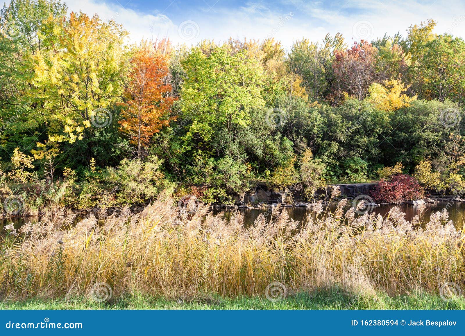 Angrignon Park in Montreal Quebec 2 Stock Photo - Image of america ...
