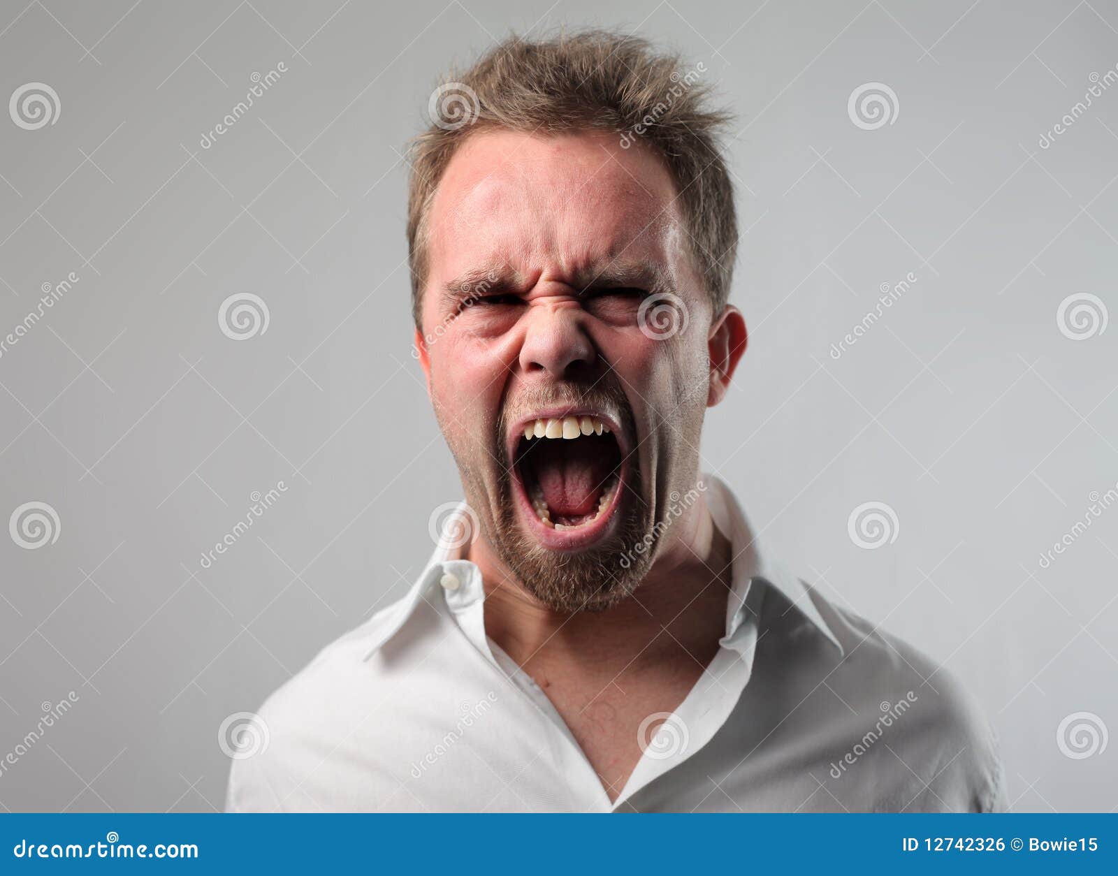 Angry stock photo. Image of scream, shout, adult, crazy - 12742326
