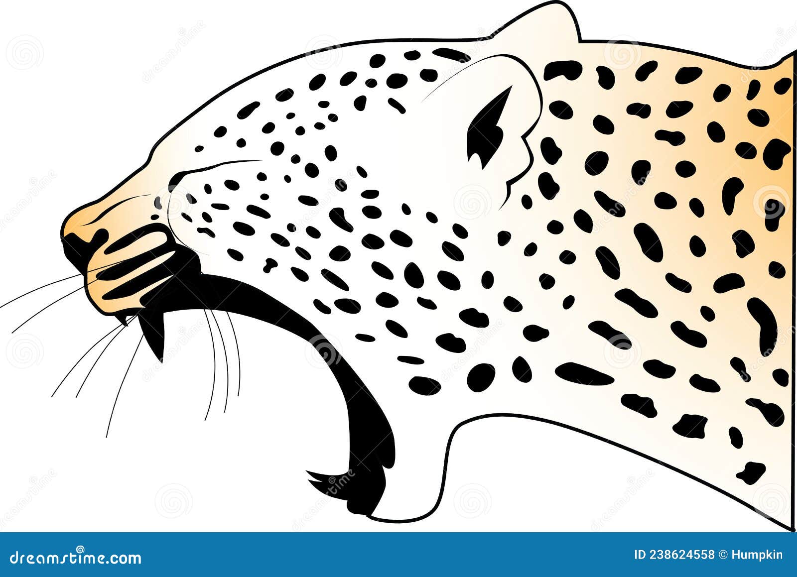 Angry Aggressive Leopard Roaring Head Stock Vector - Illustration of ...