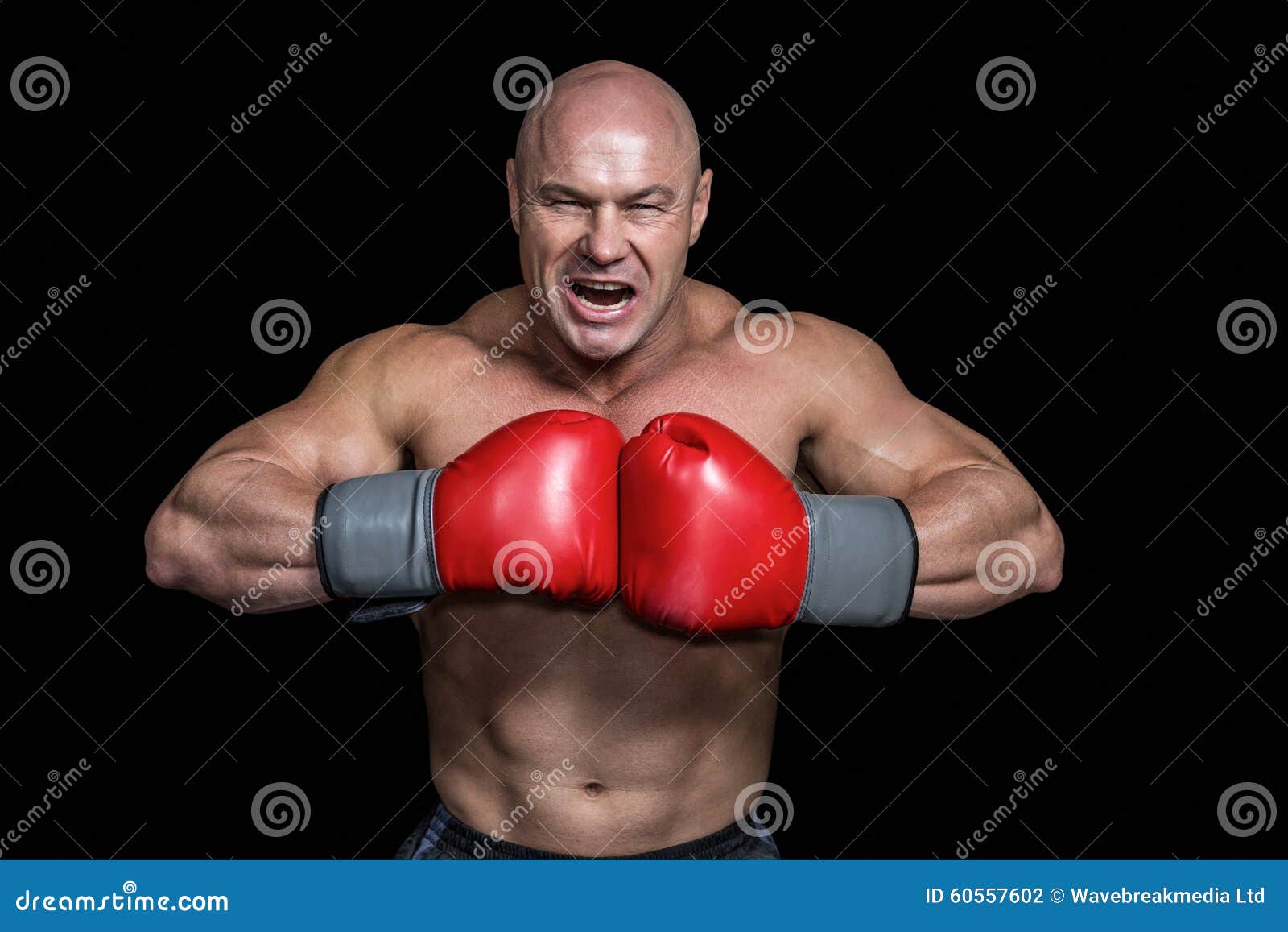 Angry Bald Boxer Punching Gloves Stock Photos - Free & Royalty-Free ...