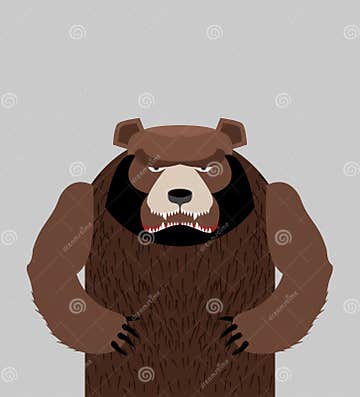 Angry bear standing stock vector. Illustration of outline - 52967164