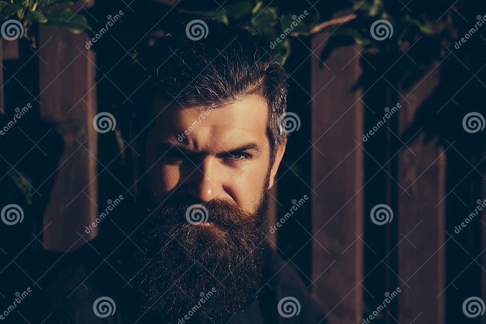 Angry bearded man stock image. Image of expression, portrait - 75889281