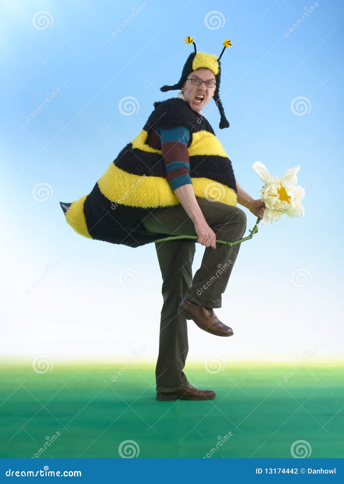 Angry Bee stock photo. Image of flower, costume, profile - 13174442
