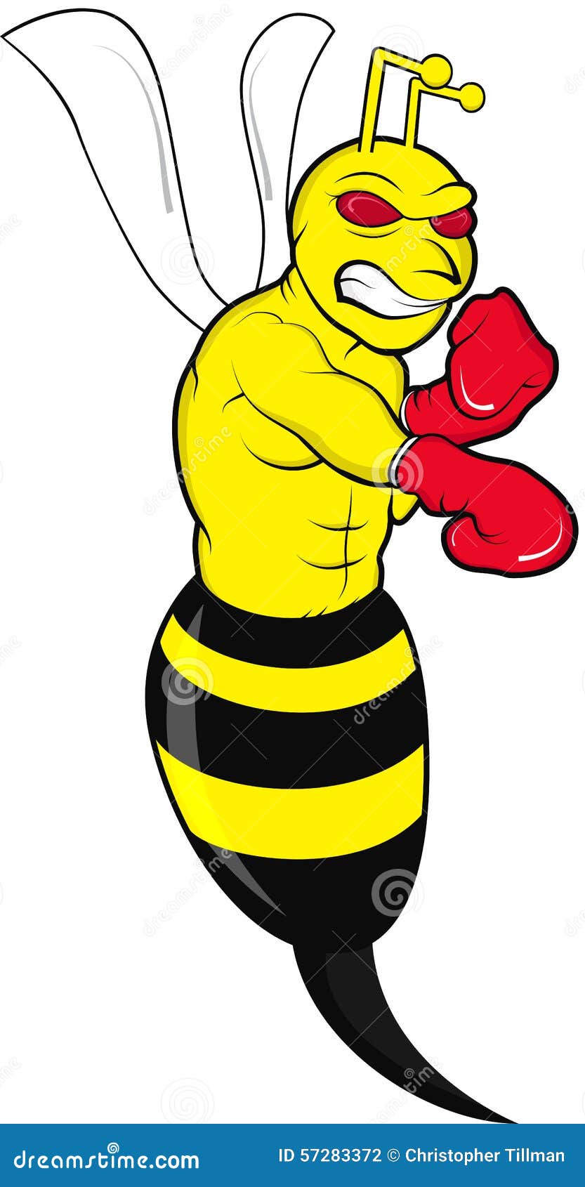 Angry Bee Stock Illustration - Image: 57283372