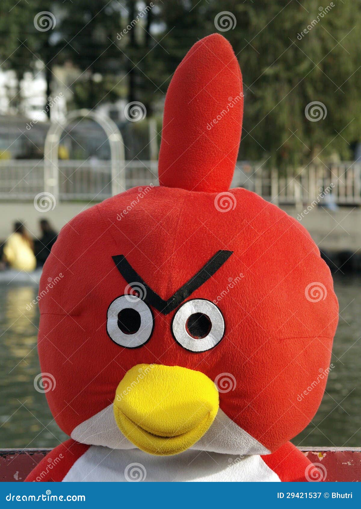 Angry Bird On A Palm Tree Royalty-Free Stock Photography ...