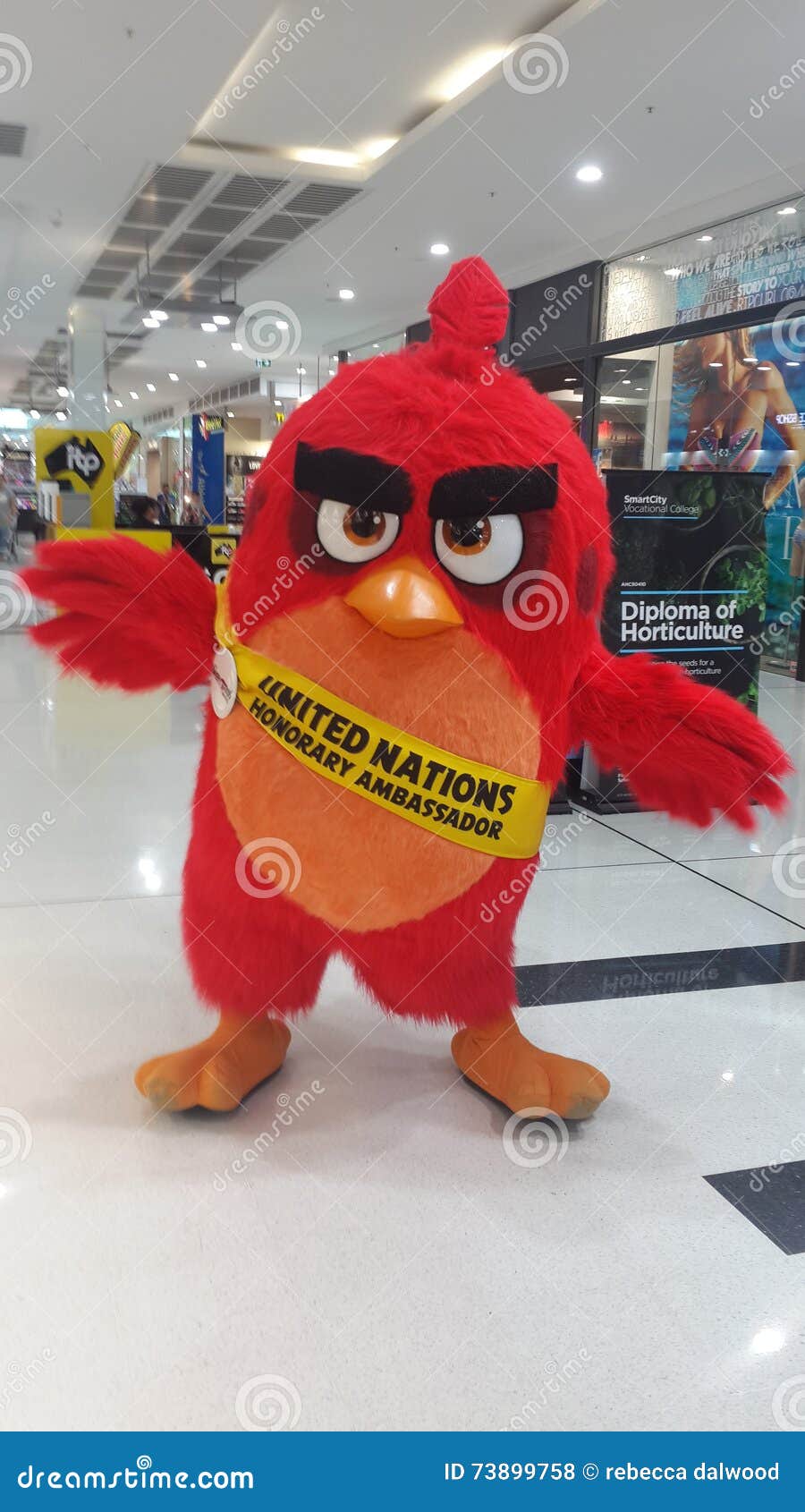 Angry bird editorial stock photo. Image of feathers, crazy - 73899758