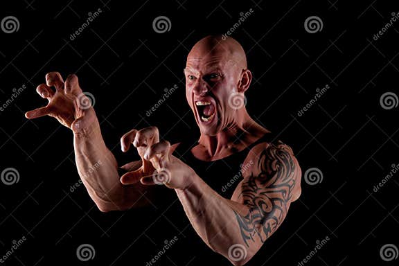Angry Bodybuilder stock photo. Image of handsome, bodybuilder - 16229984