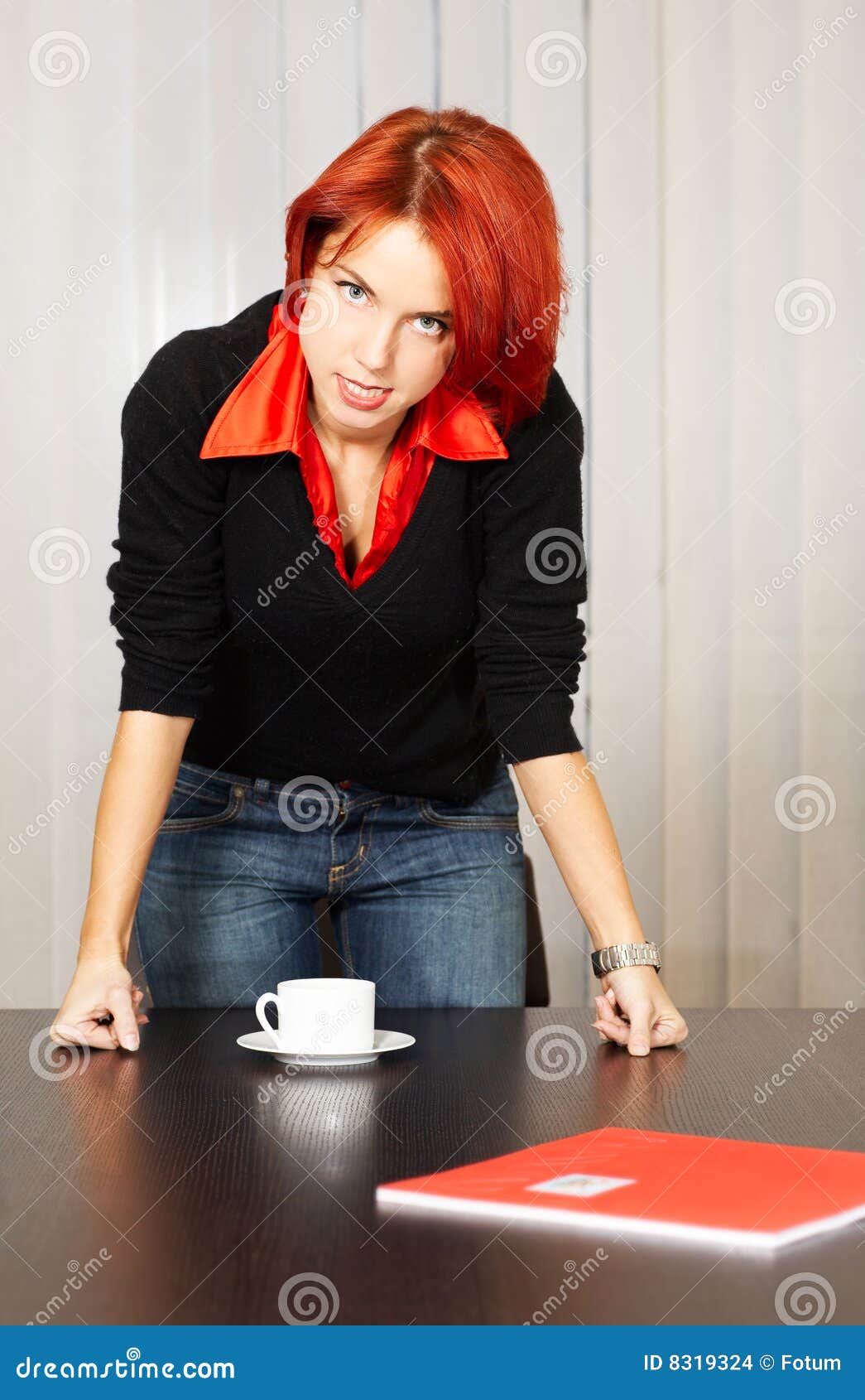 Angry boss stock photo. Image of caucasian, dressed, females - 8319324