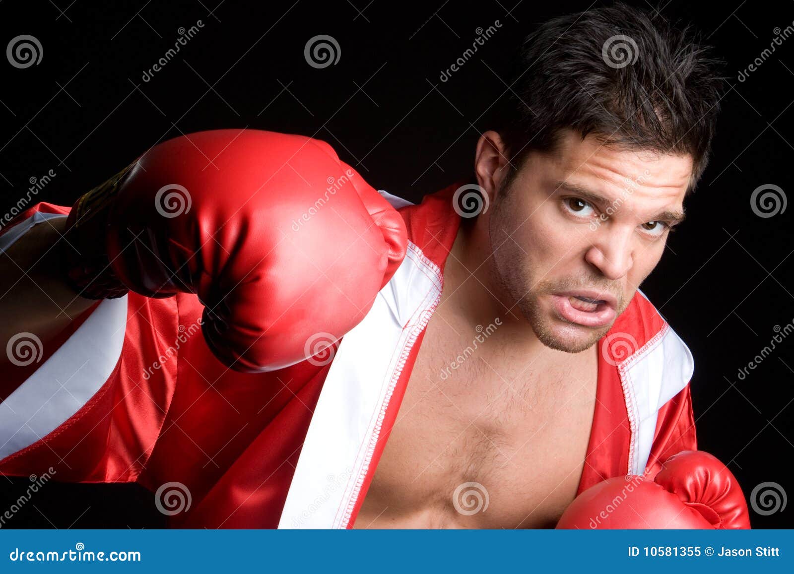Angry Boxer stock image. Image of knockout, professional - 10581355