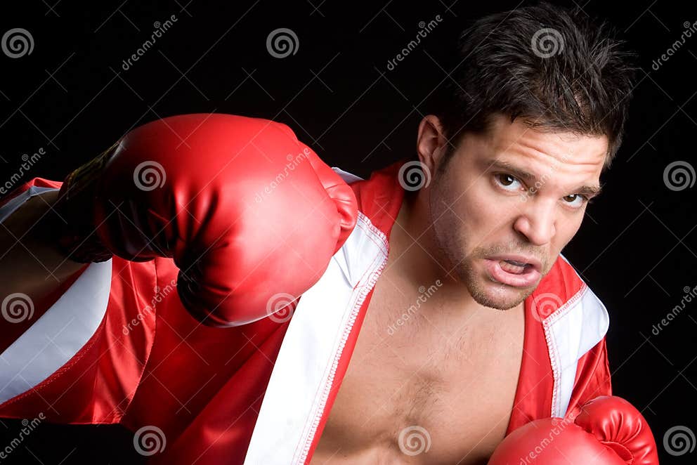 Angry Boxer stock image. Image of knockout, professional - 10581355