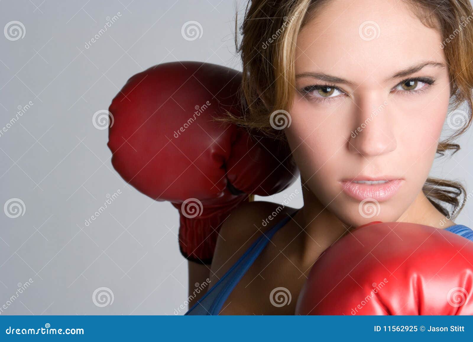 Angry Boxer stock image. Image of fitness, grey, boxing - 11562925