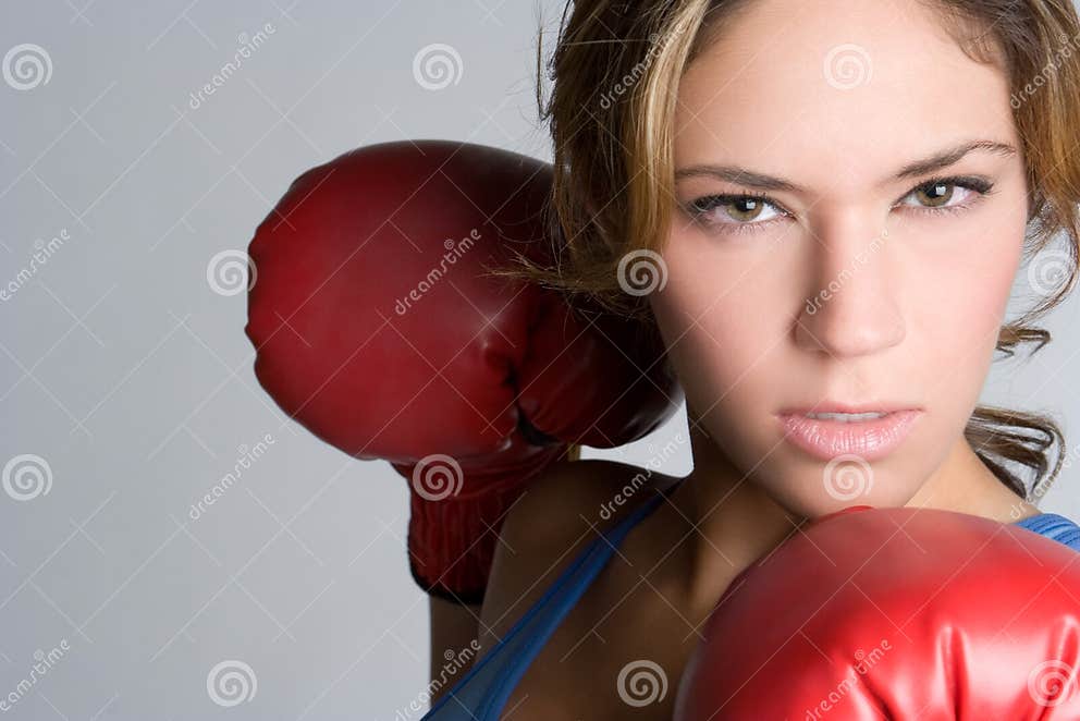 Angry Boxer stock image. Image of fitness, grey, boxing - 11562925