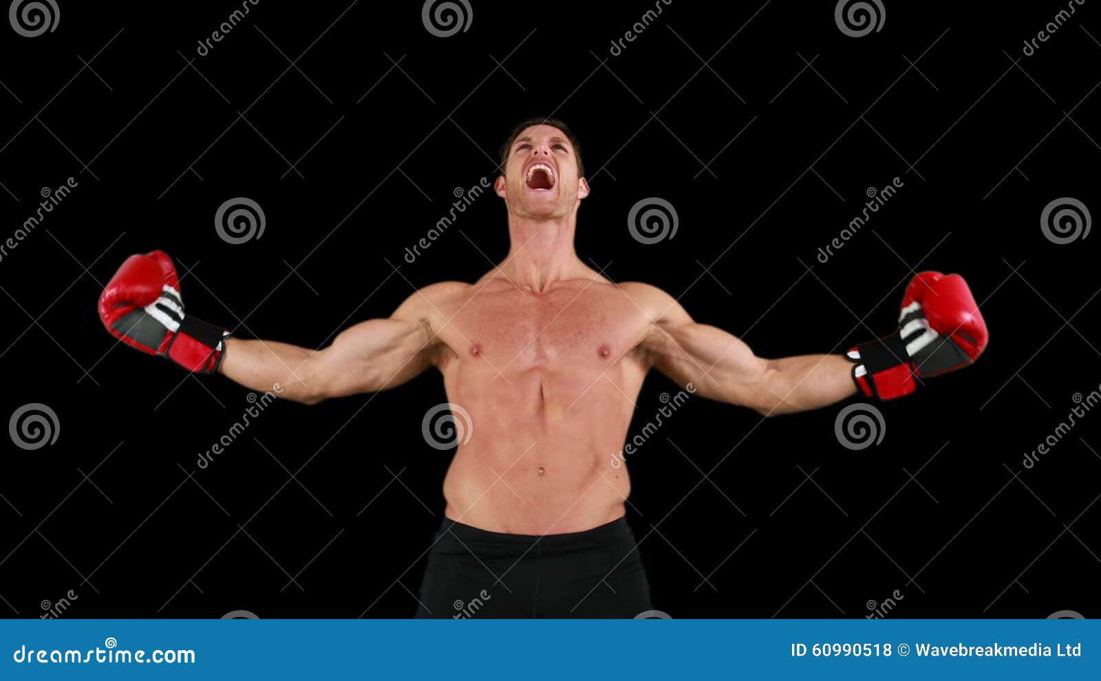 Angry Boxer Against Black Background Stock Footage - Video of lifestyle ...