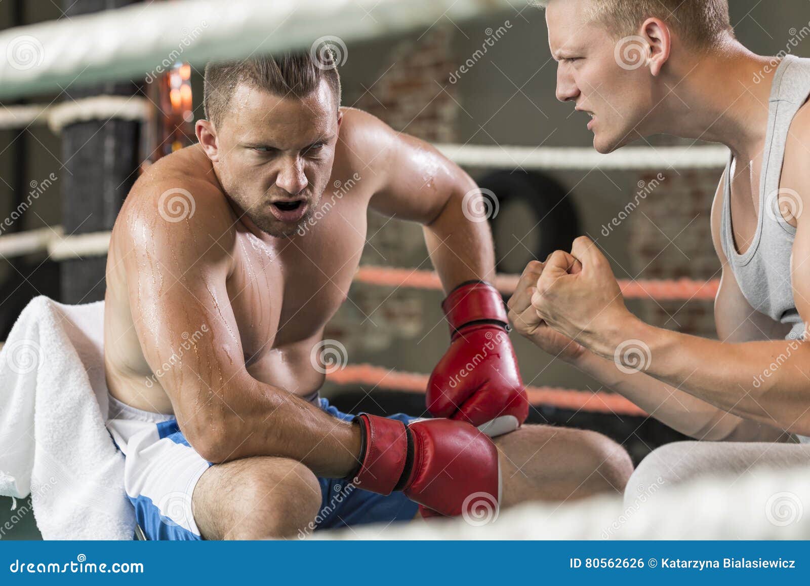 Angry Boxer and Professional Coach Stock Photo - Image of training ...
