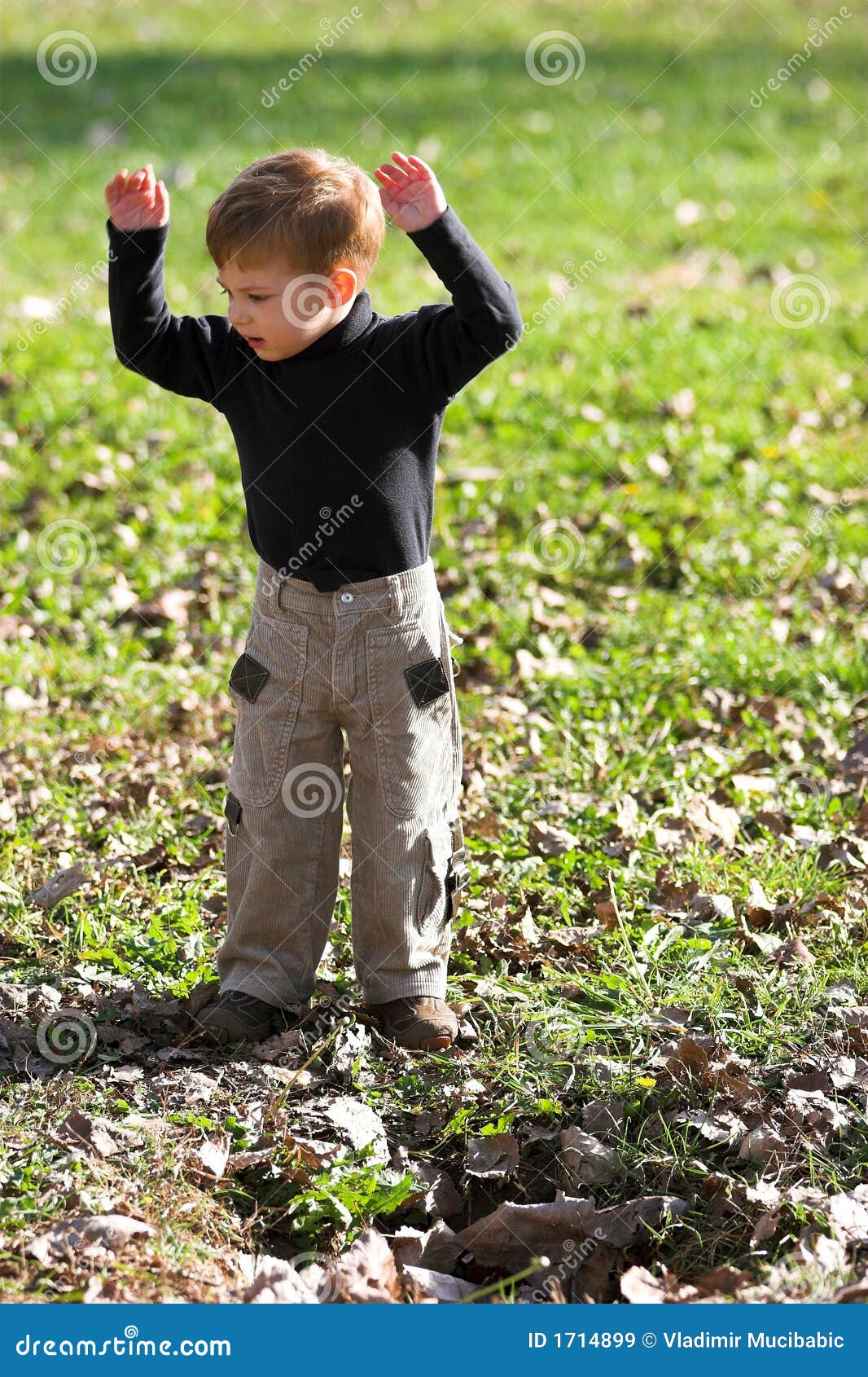 Angry boy stock image. Image of pretty, hands, lifestyle - 1714899