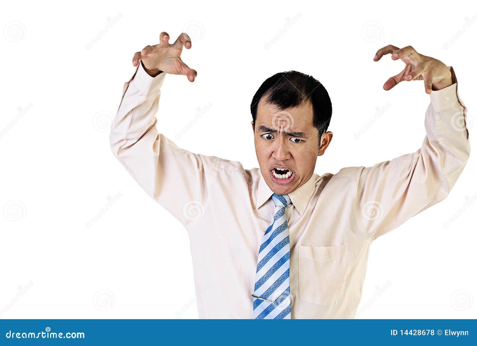 Angry Business Man Portrait Stock Photo - Image of asia, expert: 14428678