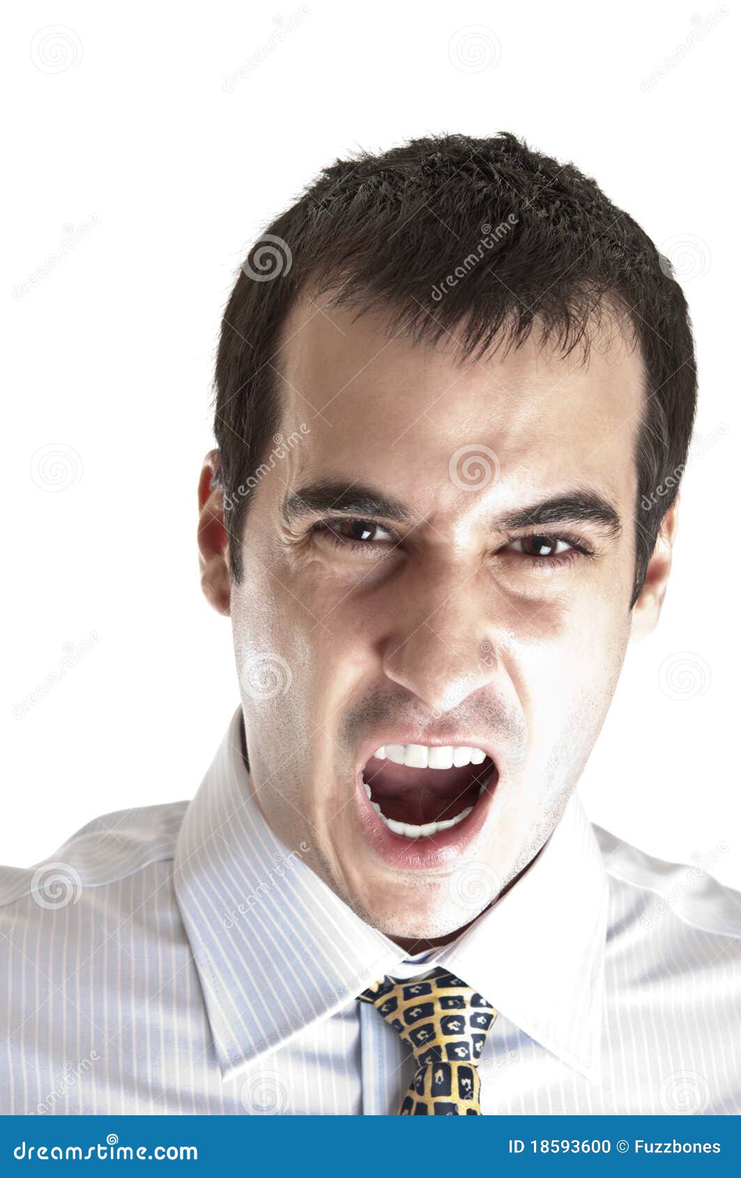 Angry Business Man Portrait Stock Photo - Image of shouting, stress ...