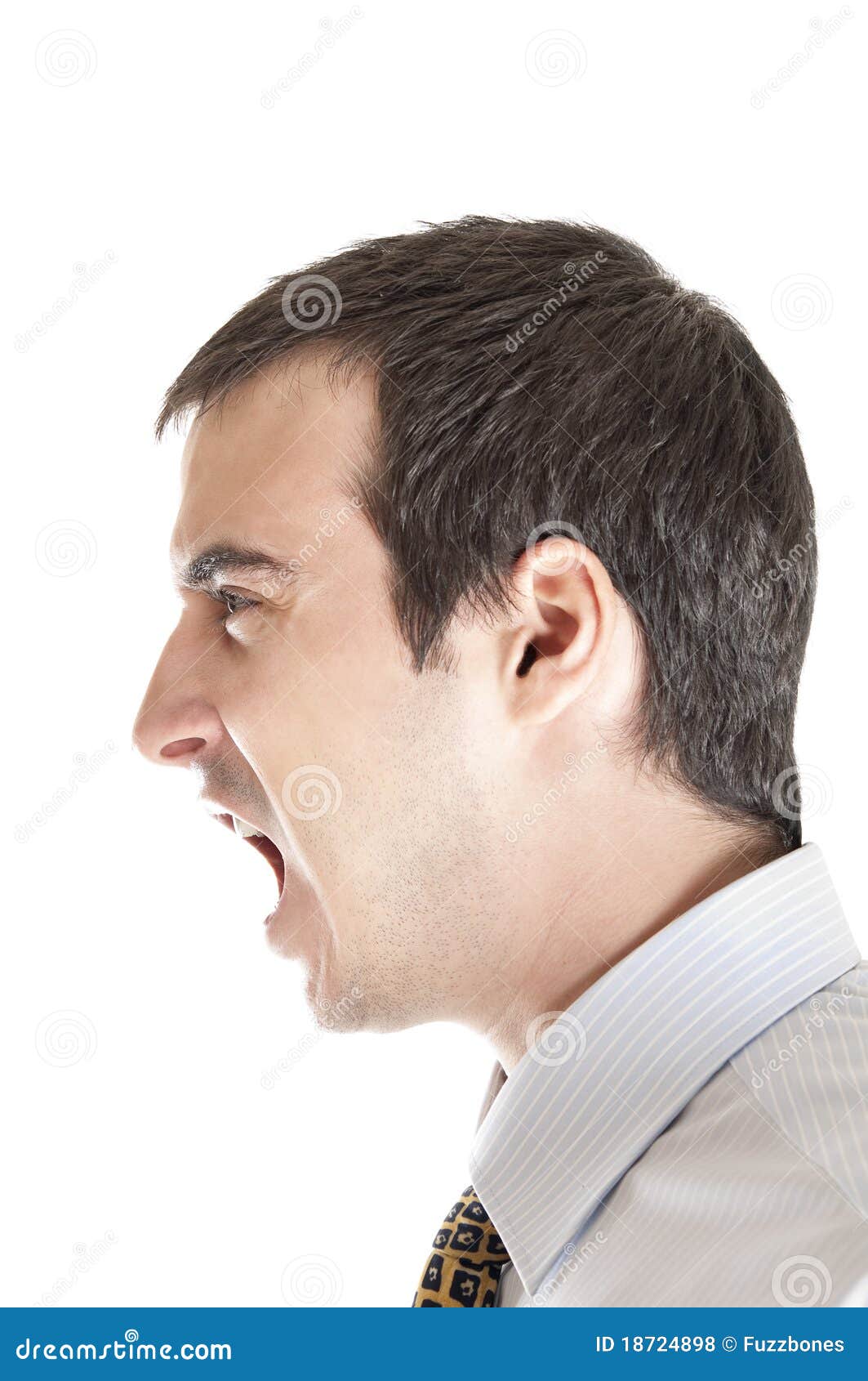 Angry Business Man Portrait Stock Photo - Image of white, male: 18724898