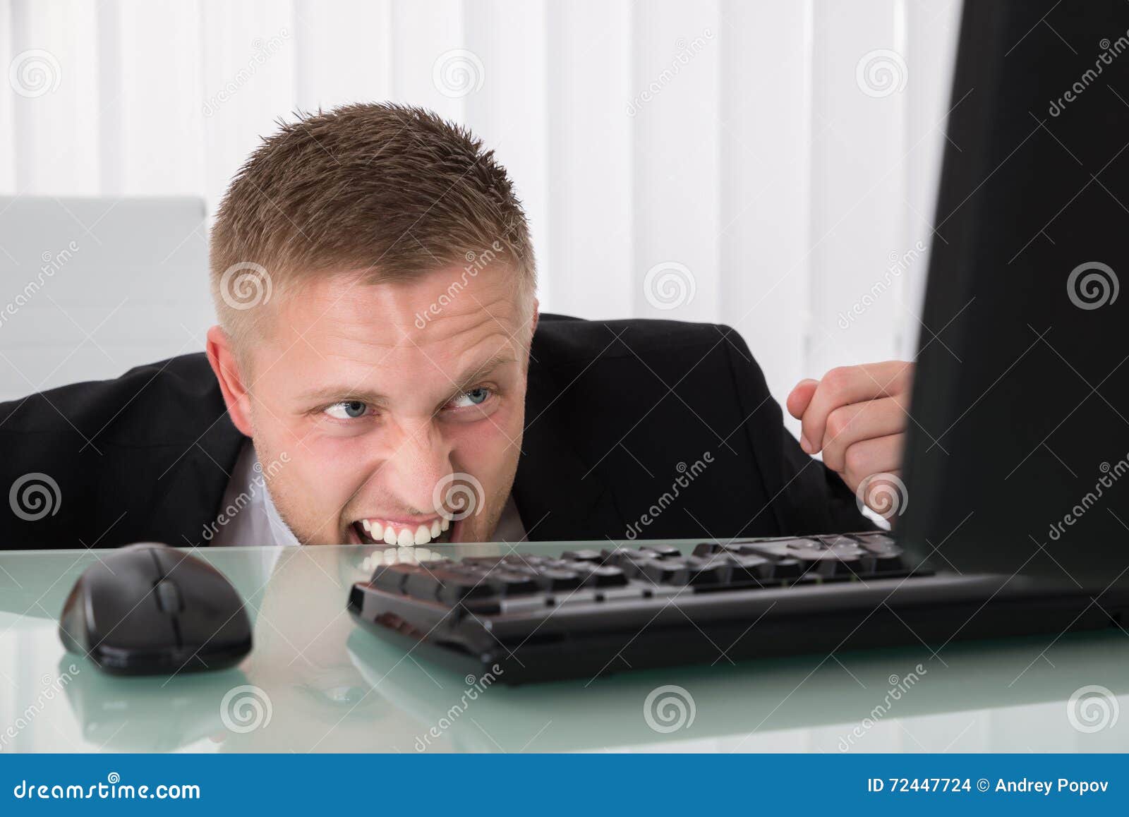 Angry Businessman Looking at Computer Stock Photo - Image of teeth ...