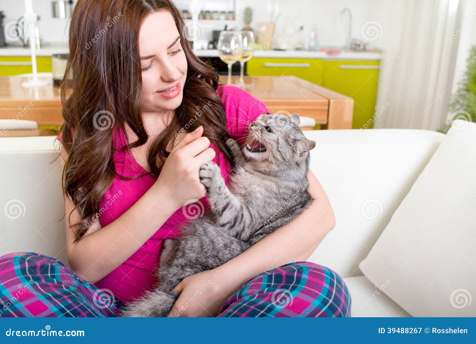 Angry Cat Bites with Claws Woman Stock Image - Image of house, laghing ...