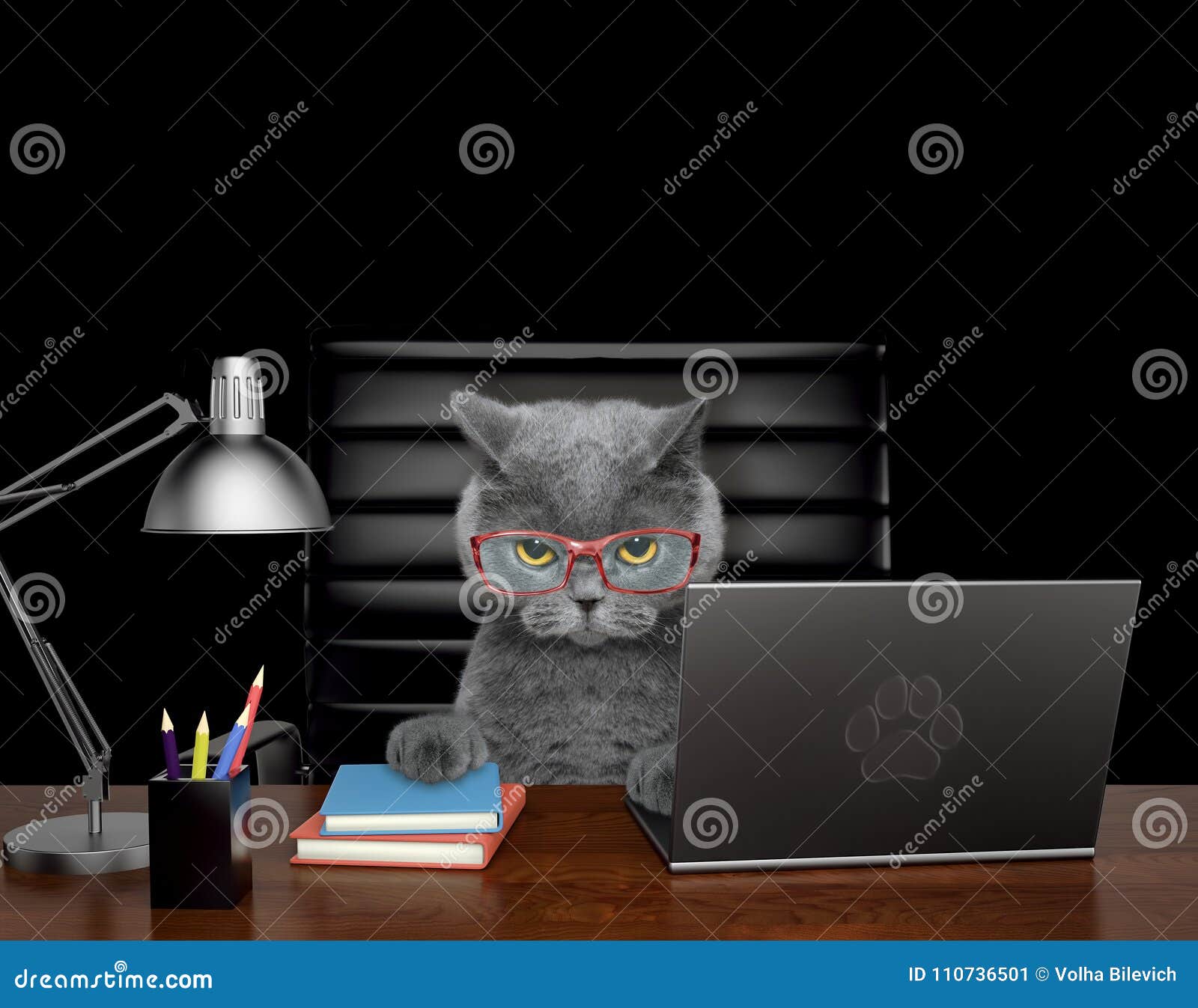 Angry Cat Manager is Doing Some Work on the Computer. Isolated on Black ...