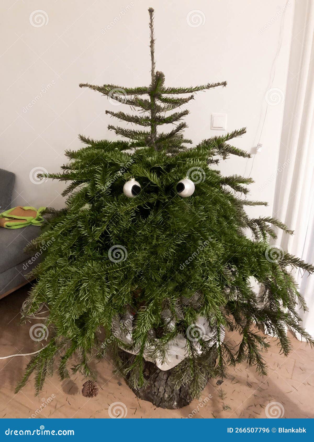 Angry Christmas Tree with Eyes after the Holiday Stock Photo - Image of ...