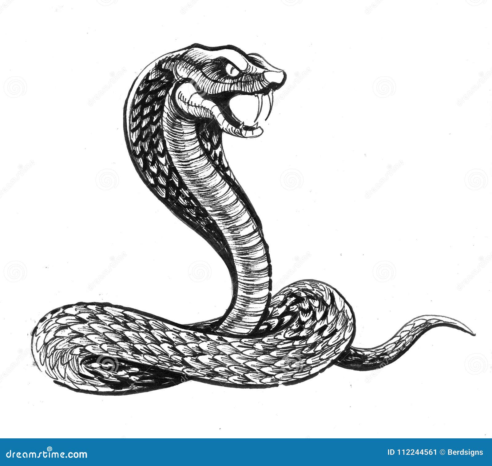Angry cobra stock illustration. Illustration of aggressive - 112244561
