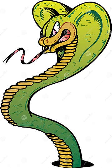 Angry Cobra Snake Vector Illustration Stock Vector - Illustration of ...
